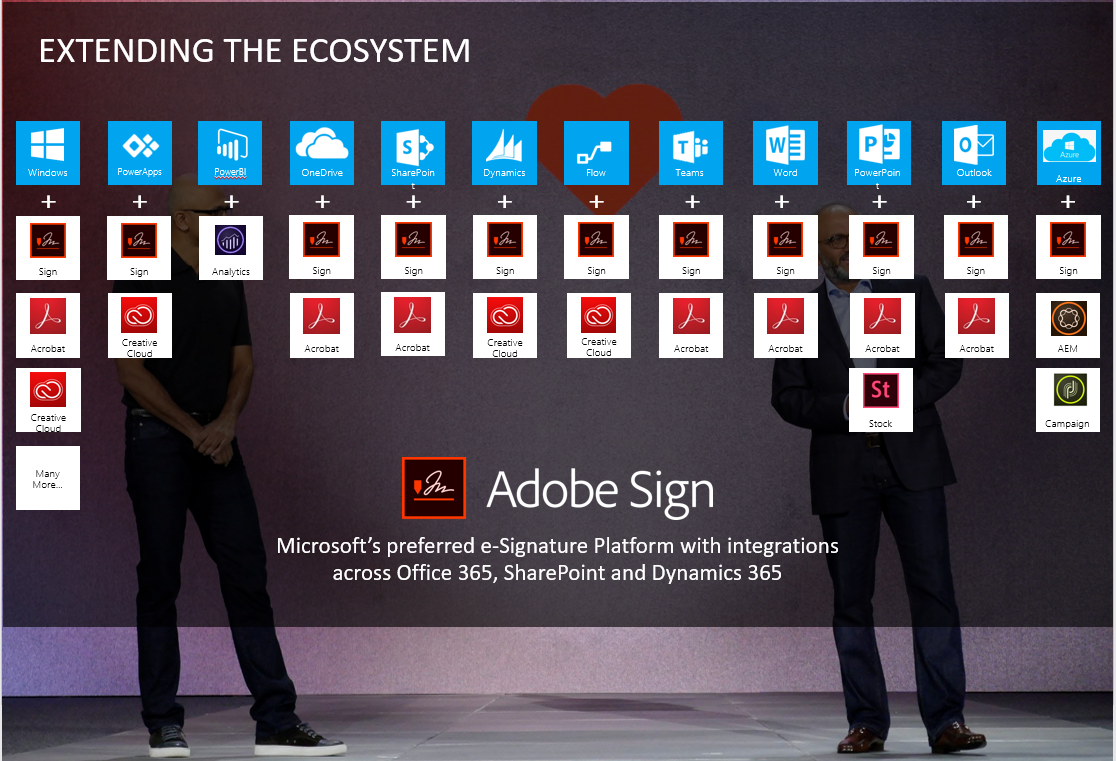 Adobe Microsoft Partnership | Insight Australia